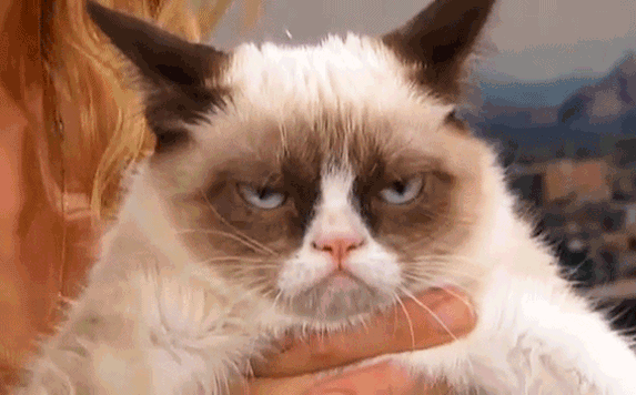7 purrrfect social media lessons from Grumpy Cat