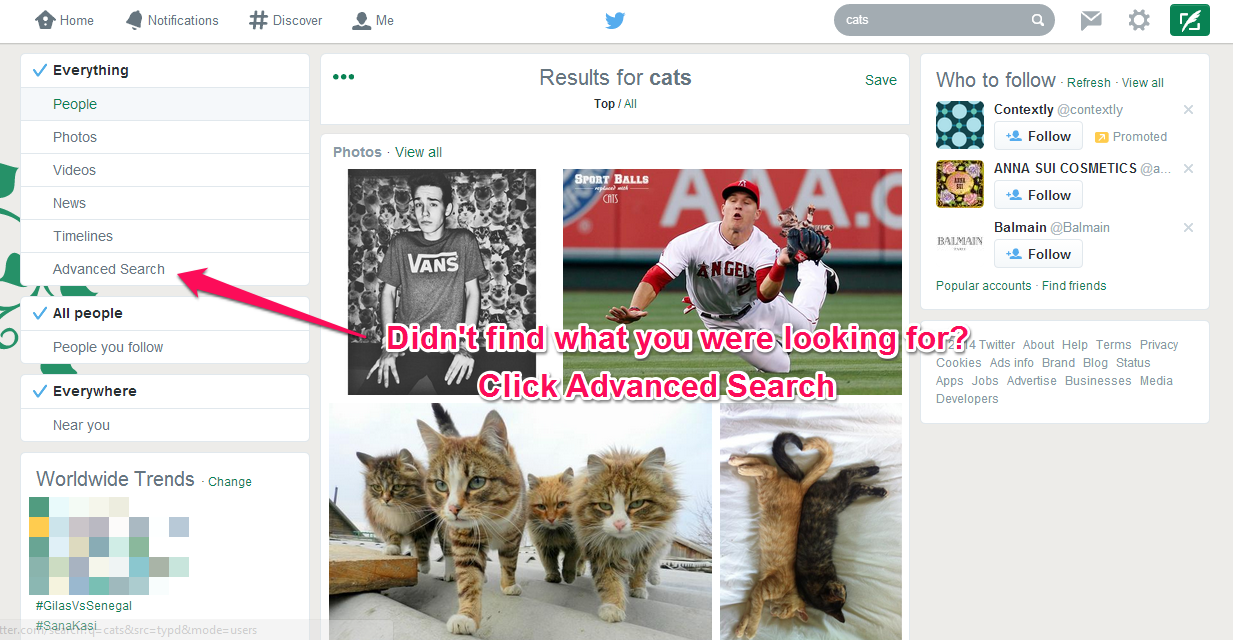 How to Master the Twitter Search Tools: Twitter Guide