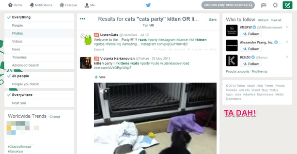 How to Master the Twitter Search Tools: Twitter Guide