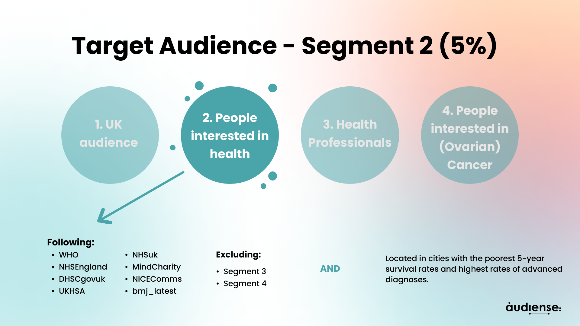 How an ovarian cancer nonprofit used audience targeting to reach 1 in 6 ...